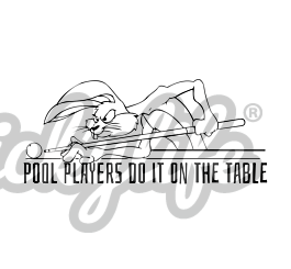 Pool Players License Plate - Custom Personalized Automotive Plates